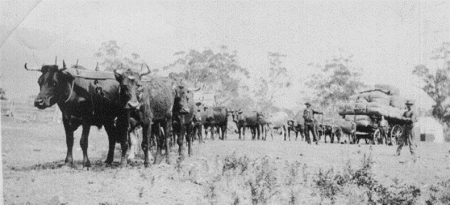 Dray – Harry Gentle Resource Centre